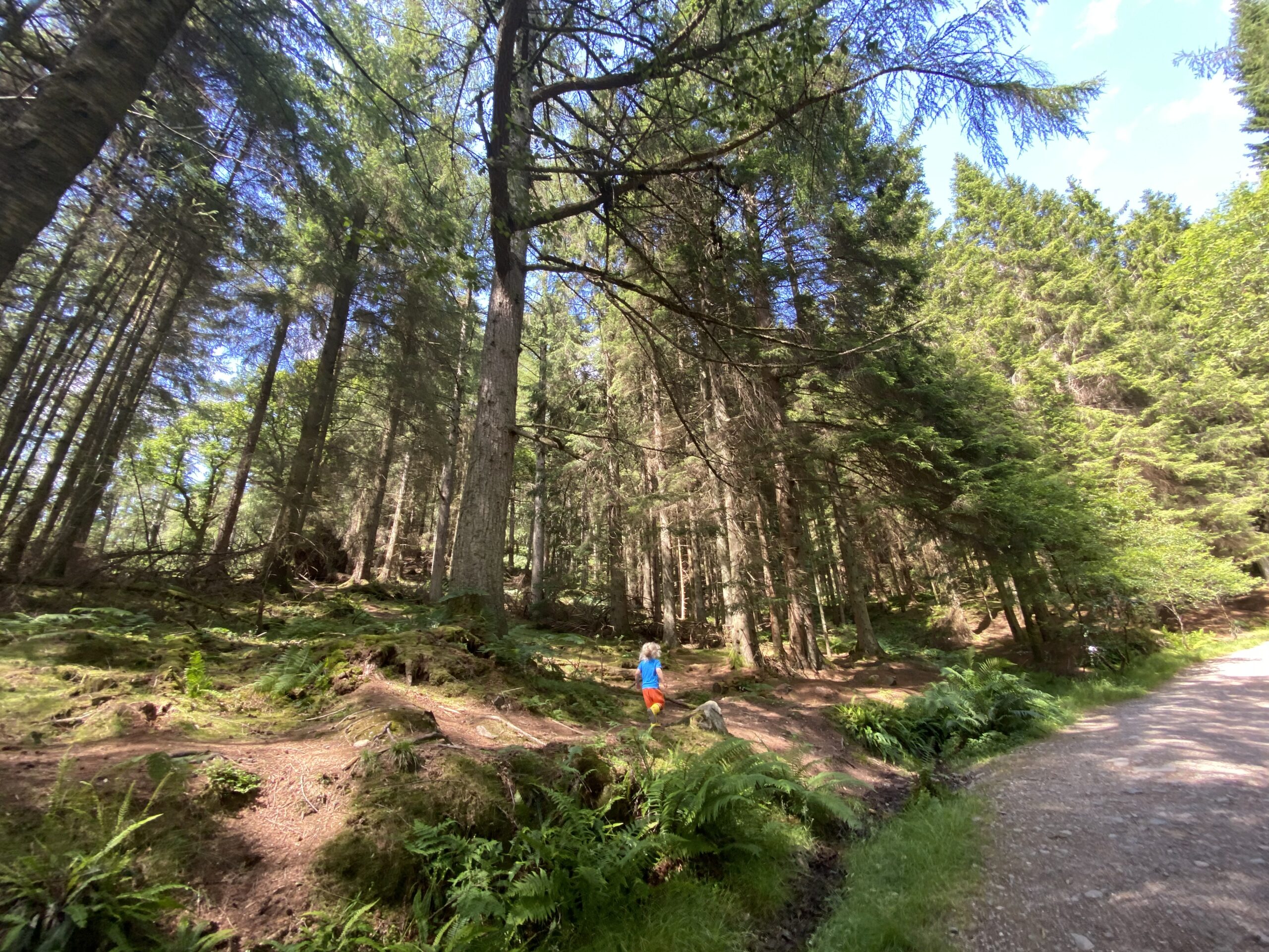 Conic Hill – Scotland With Kids