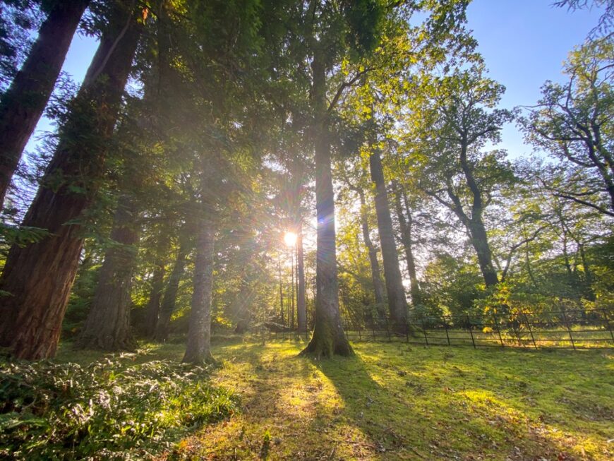 Ardkinglas Estate – Scotland With Kids