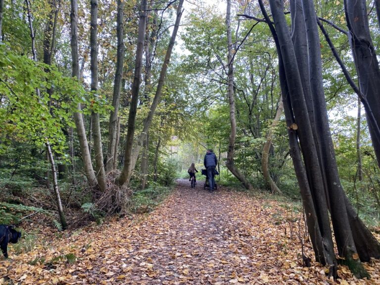 Chatelherault Country Park – Scotland With Kids