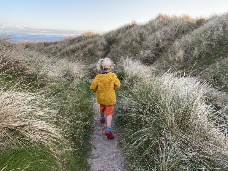 Landmark Forest Adventure Park – Scotland With Kids